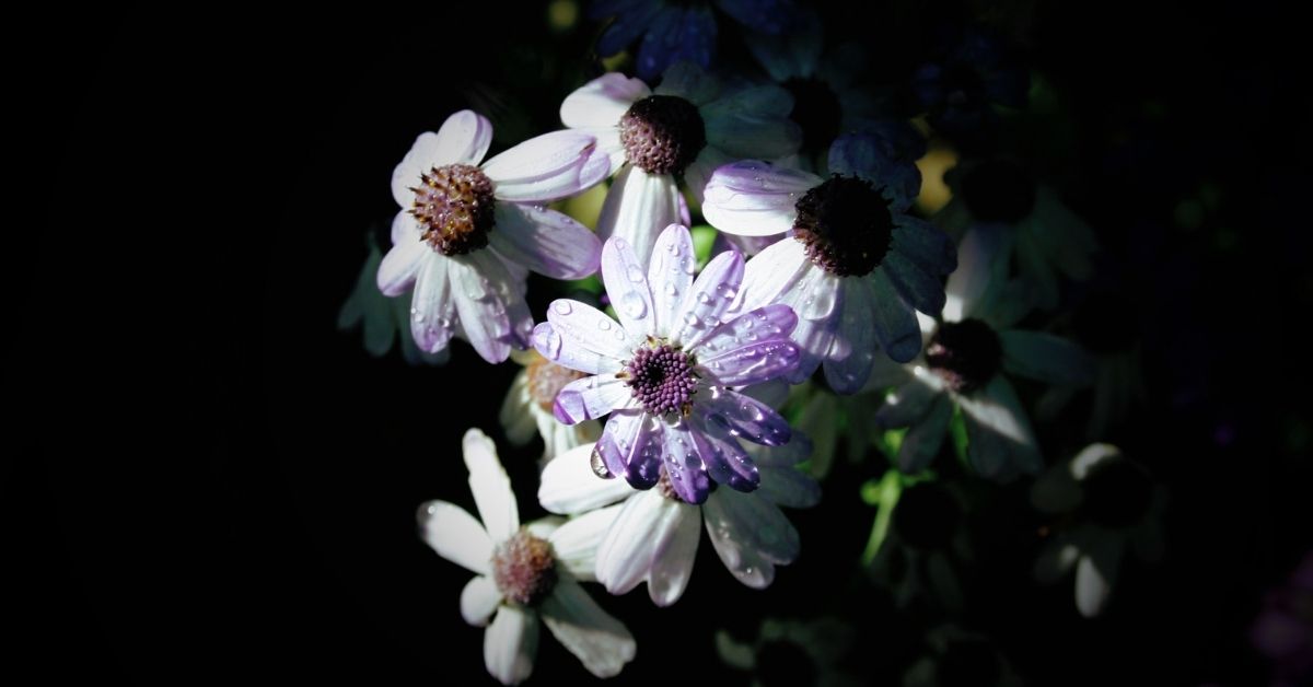 20 Best Spring Fragrances & Colognes For Men [ 2022 Review ]